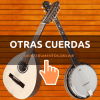 Instrumentos de Cuerda Pulsada o Cordófonos Punteados